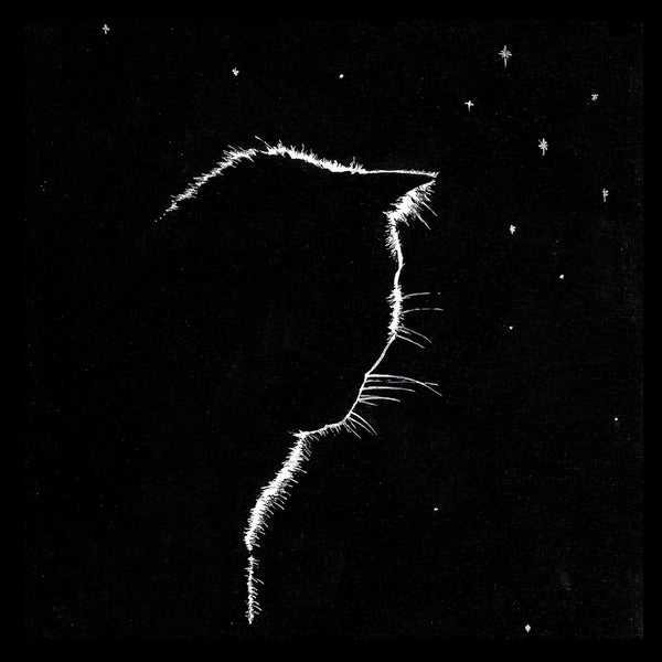 Shadow Cat – Limited Edish